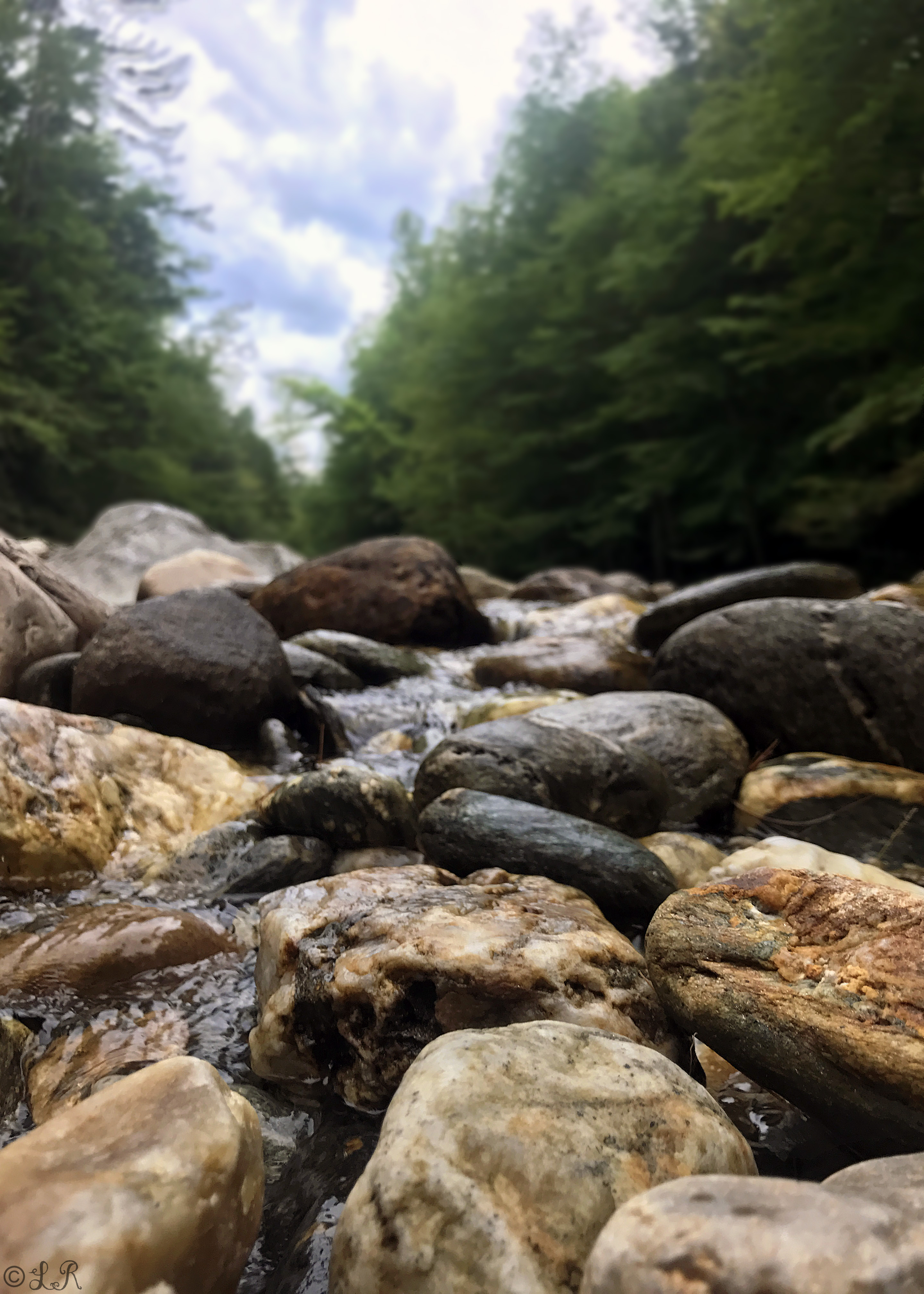 East Coast Excursions - Part 2 - Attractions For A Vermont Summer Trip